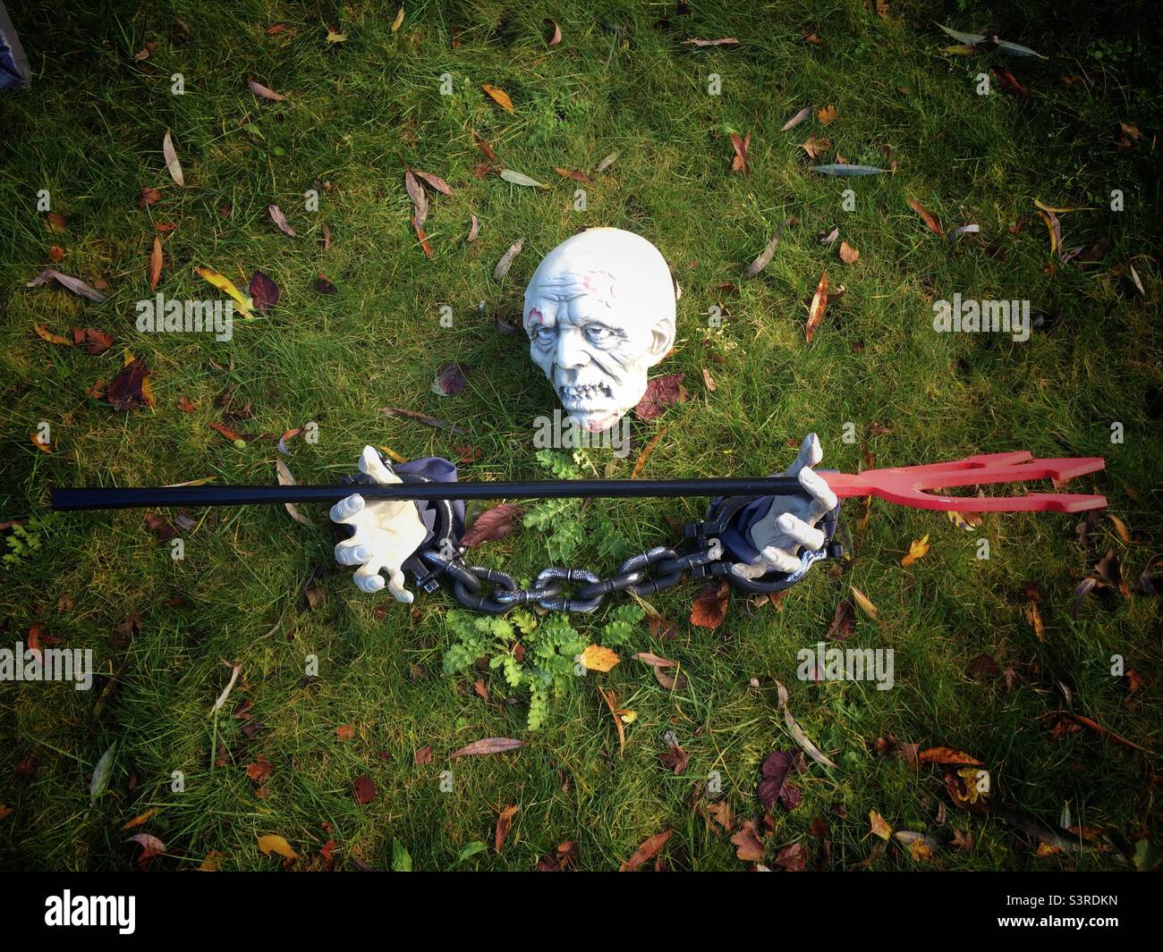 Scary skeleton hi-res stock photography and images - Alamy
