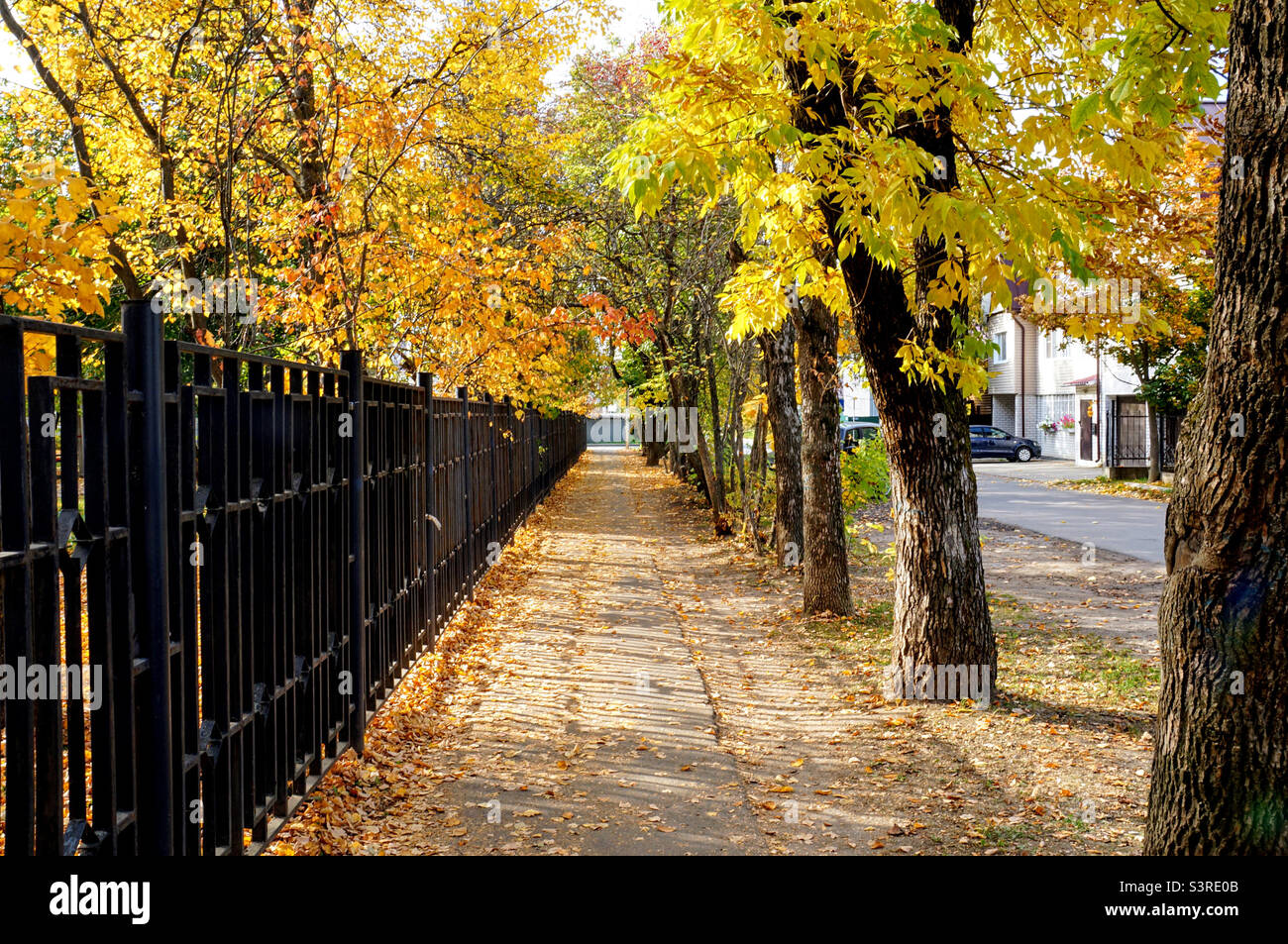 view of the alley with black fence on an autumn day Stock Photo - Alamy