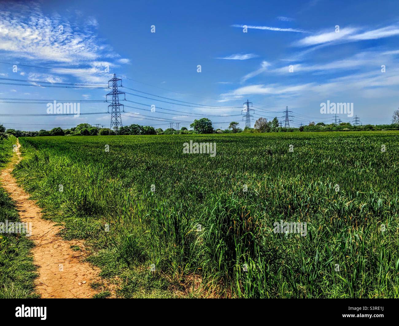 Foot path, field hi-res stock photography and images - Alamy