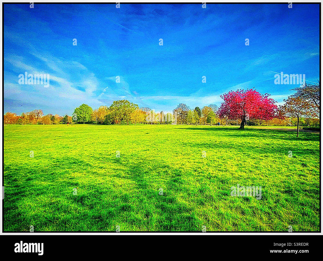 Spring in Peckham park Stock Photo - Alamy