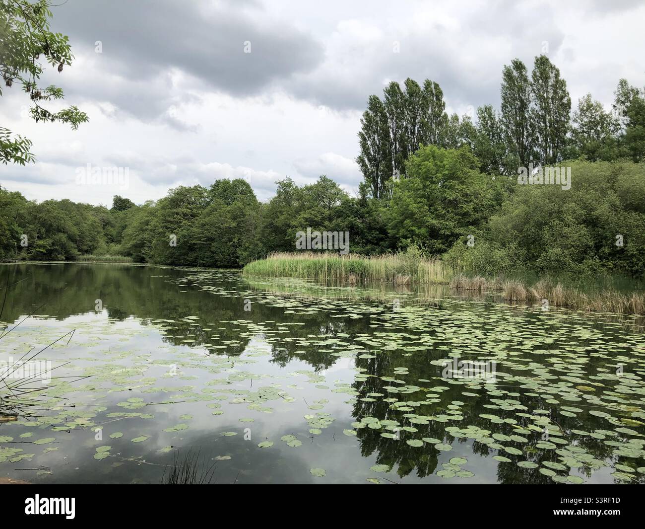 English nature hi-res stock photography and images - Alamy