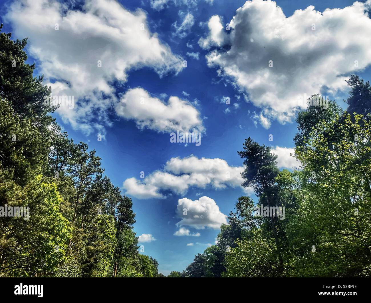 Sutton Heath Suffolk England Stock Photo - Alamy