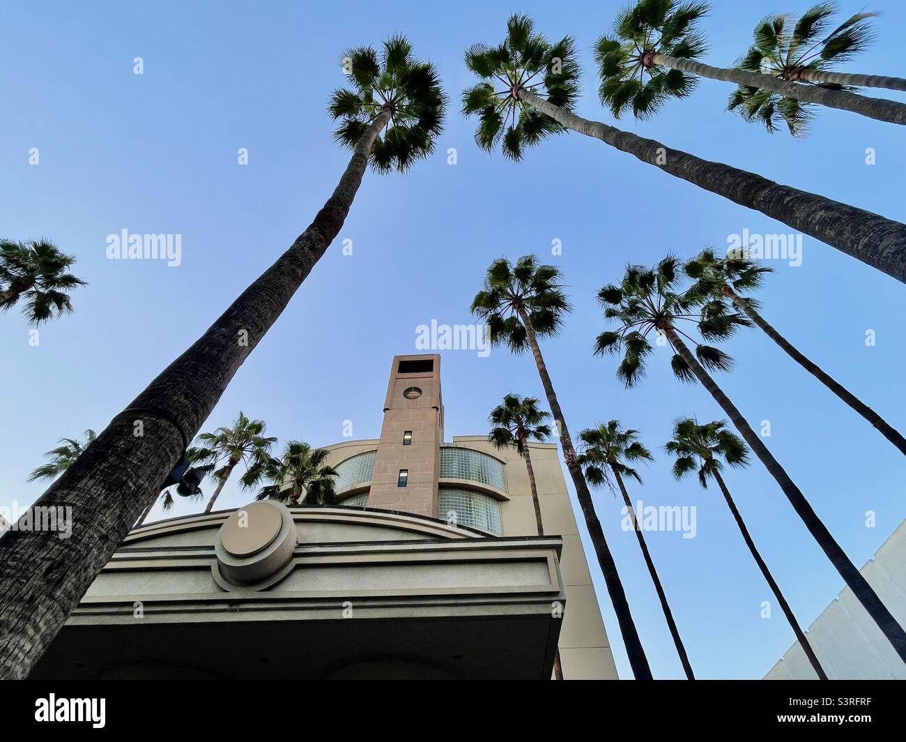Building between Palm trees Stock Photo - Alamy