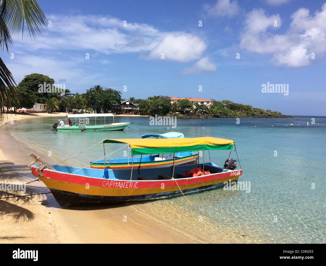 Roatan honduras beach palm trees hi-res stock photography and images ...