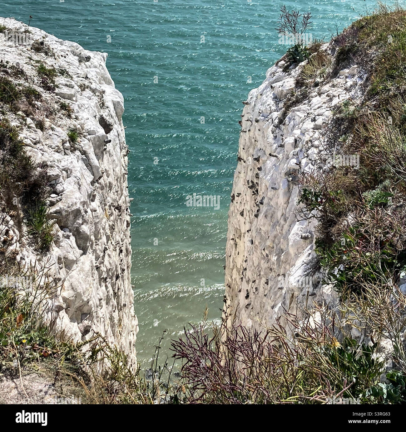 White cliffs of Dover Stock Photo - Alamy