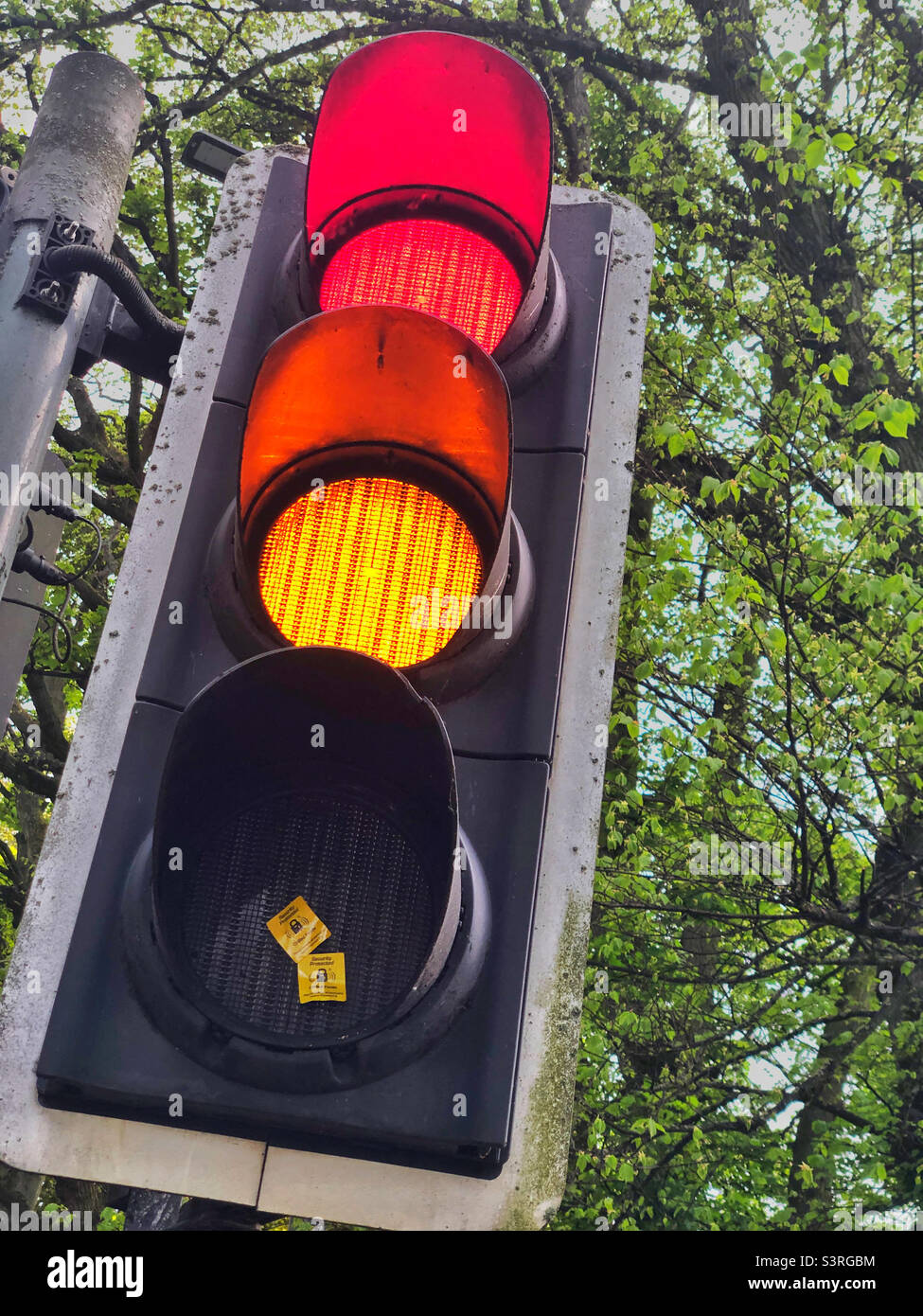 To turn green hi-res stock photography and images - Alamy
