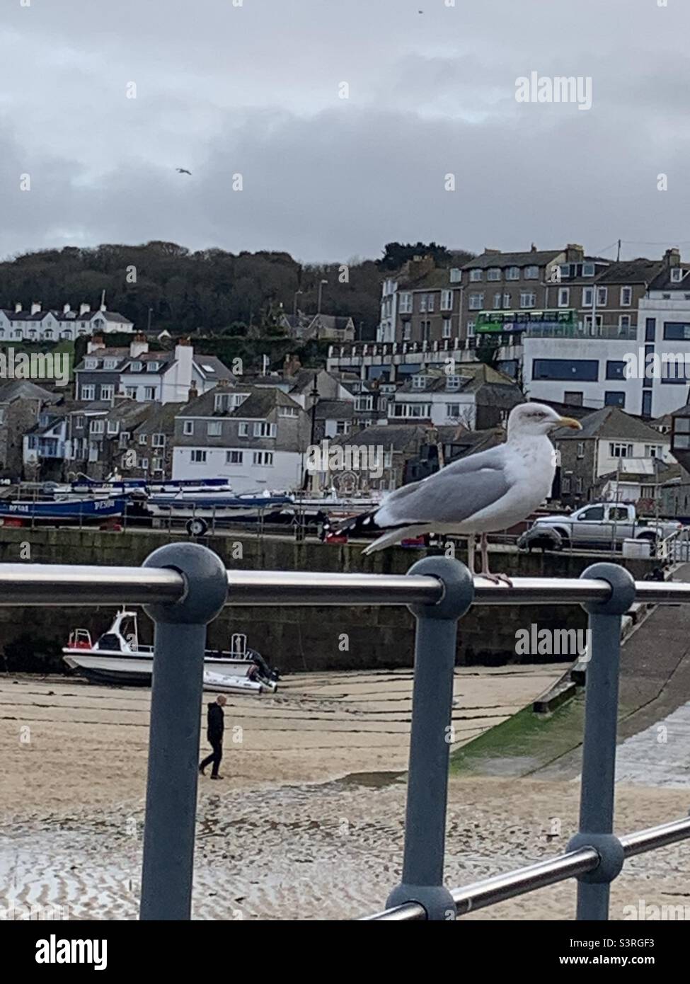 Seagull st hi-res stock photography and images - Alamy