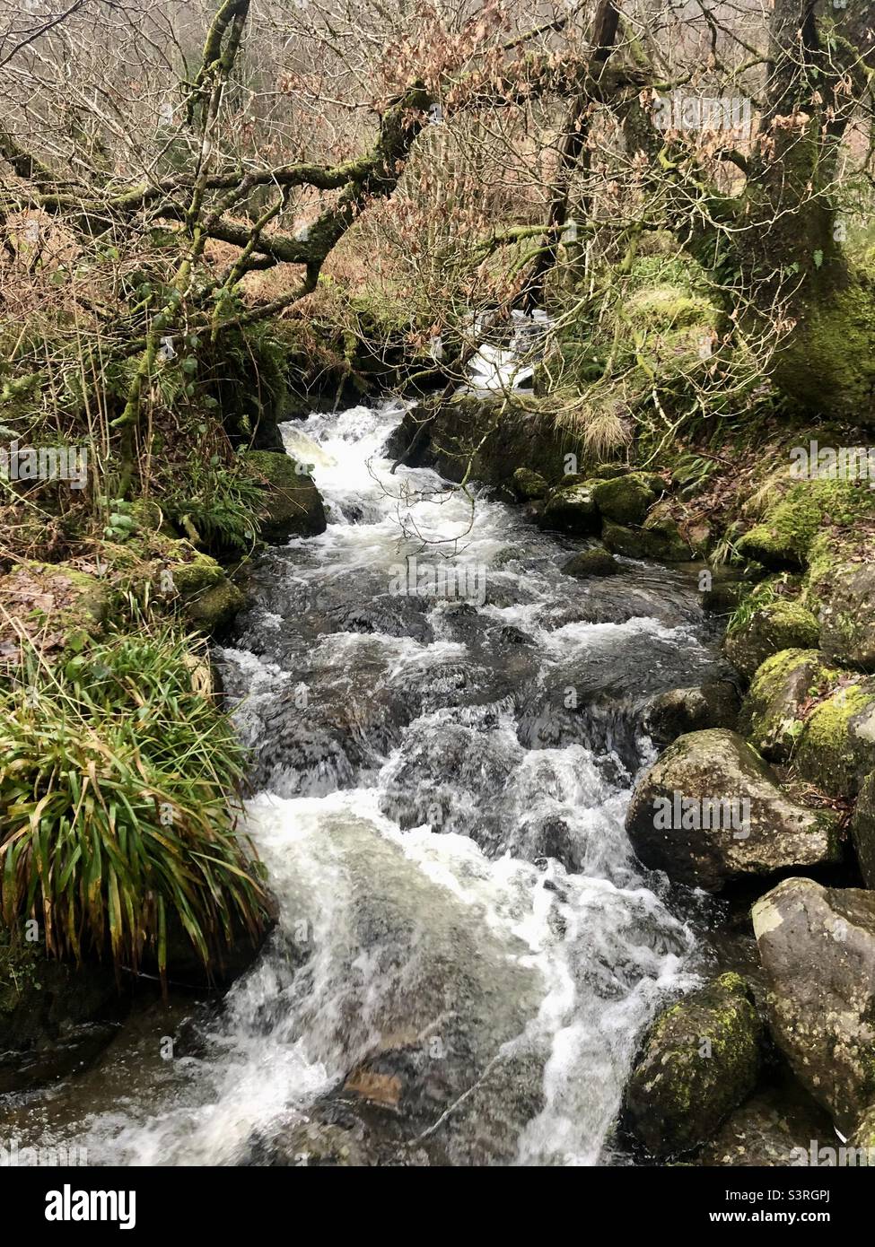 Scottish stream hi-res stock photography and images - Alamy