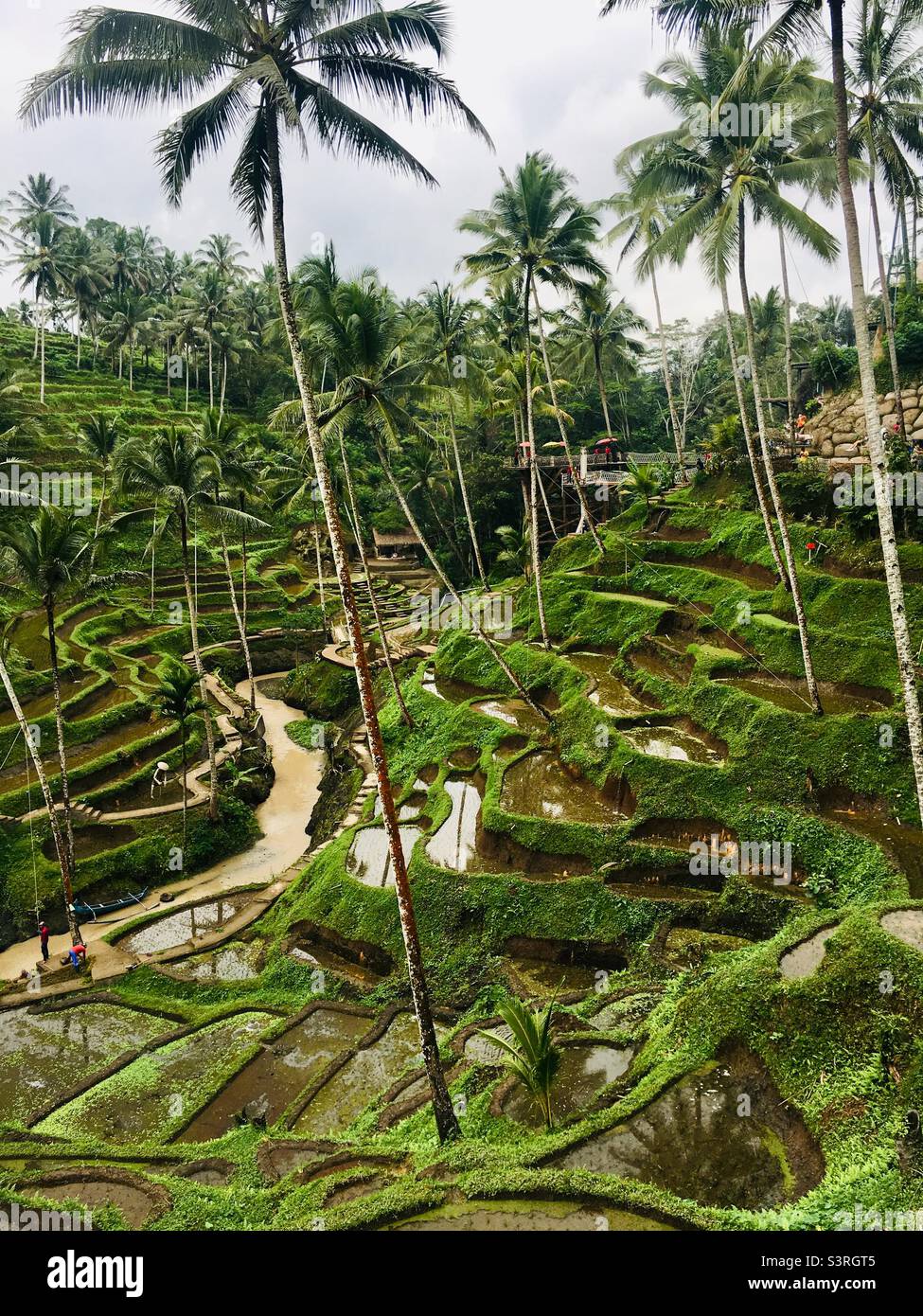 Bali pools hi-res stock photography and images - Alamy