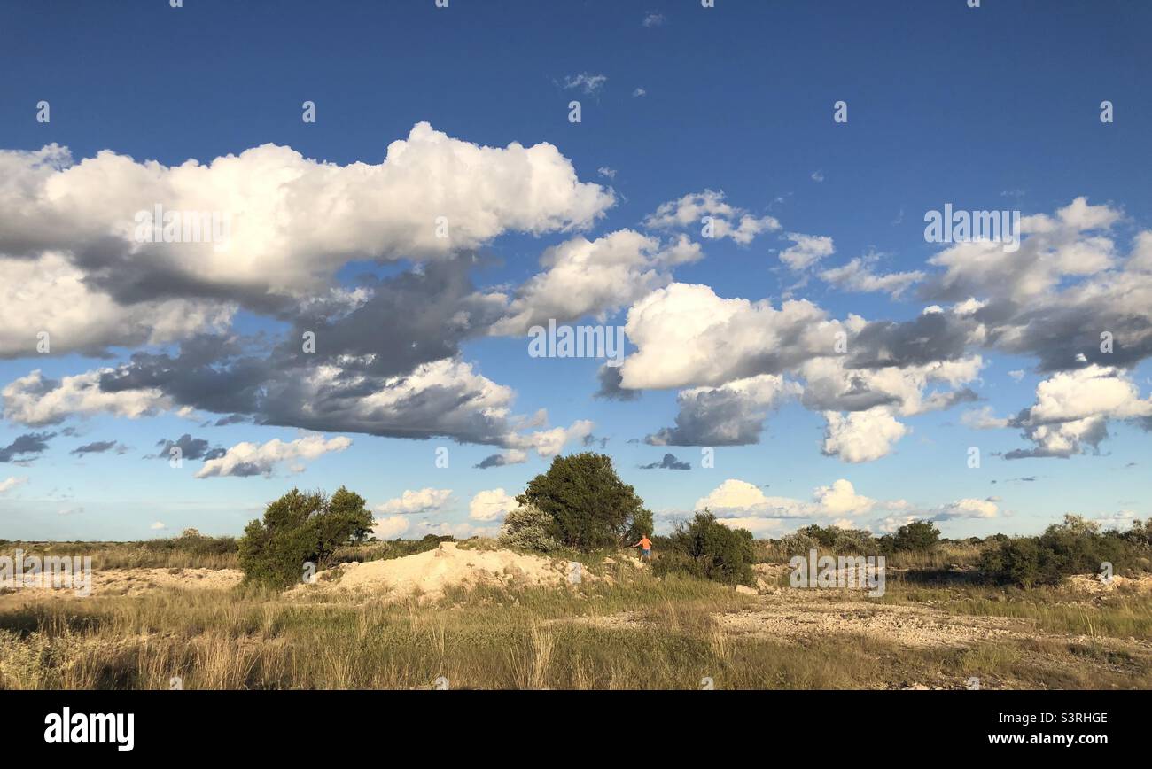 Winters in south africa hi-res stock photography and images - Alamy