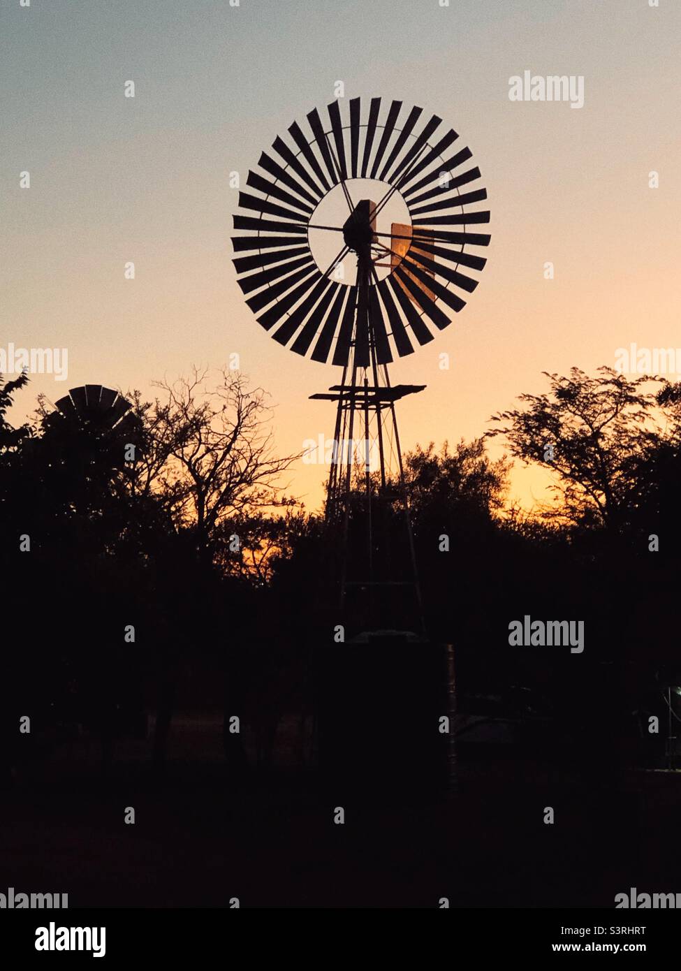 Steel windmill in the South African bush at sunset Stock Photo - Alamy