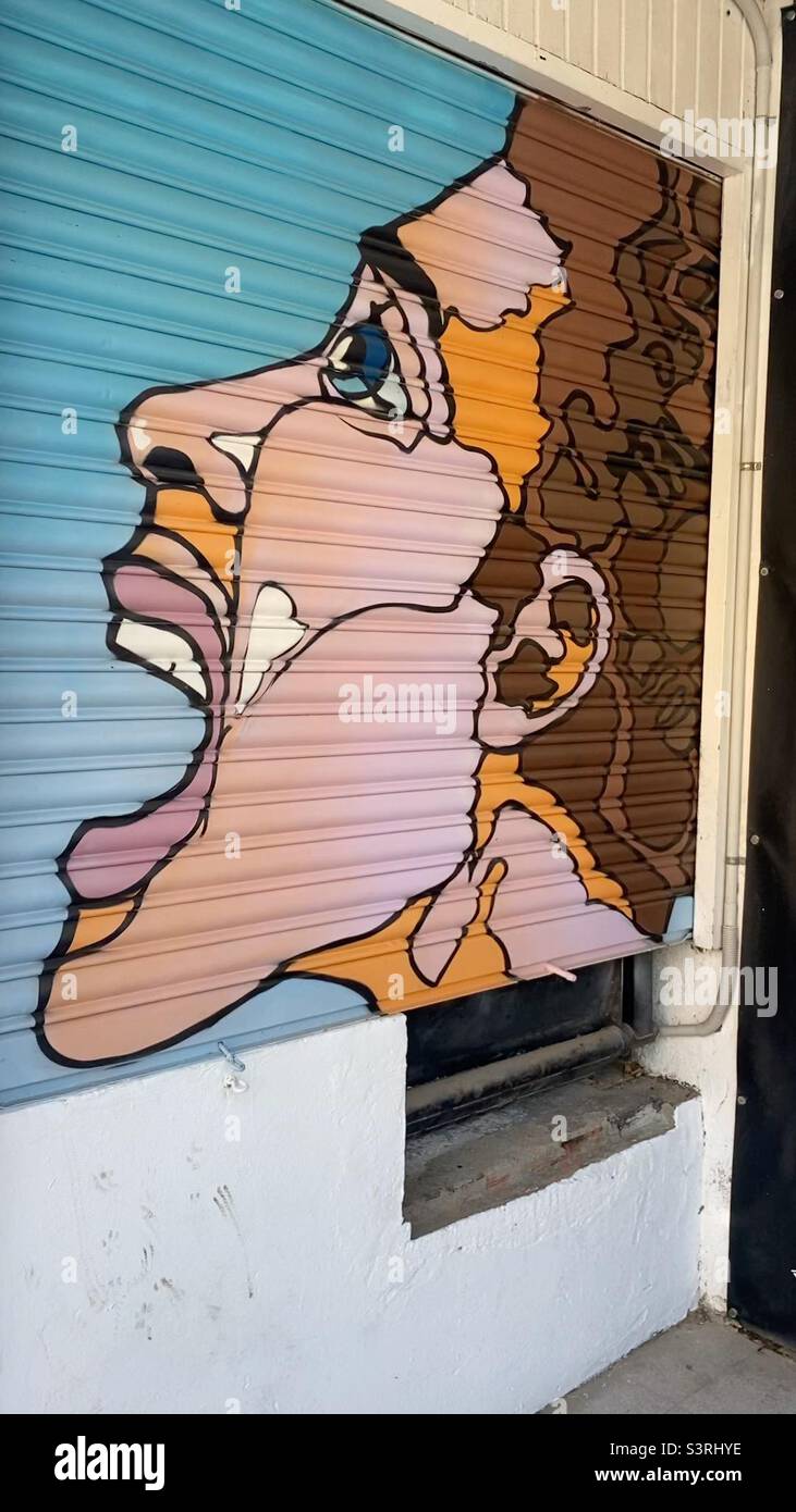 Face on a shutter hi-res stock photography and images - Alamy