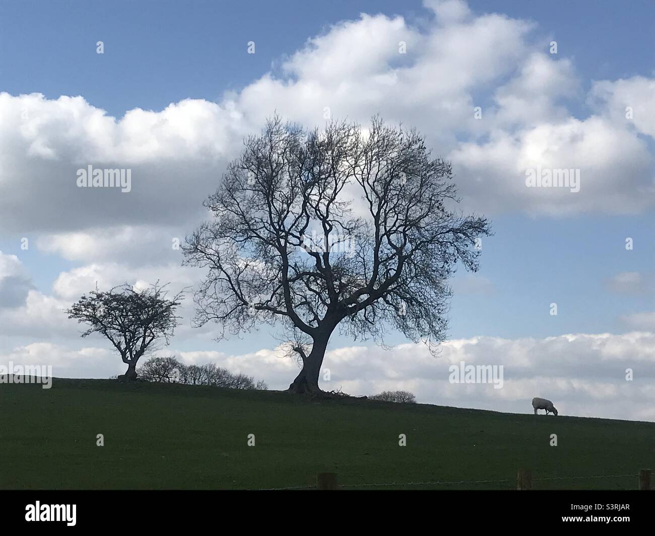 Yorkshire landscape hi-res stock photography and images - Alamy