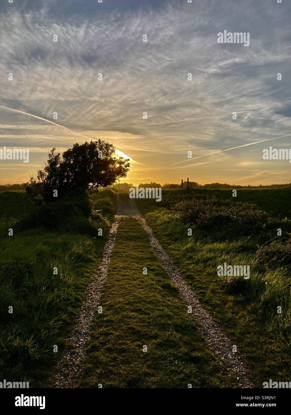 Sunset on Rye Harbour Nature Reserve Stock Photo - Alamy