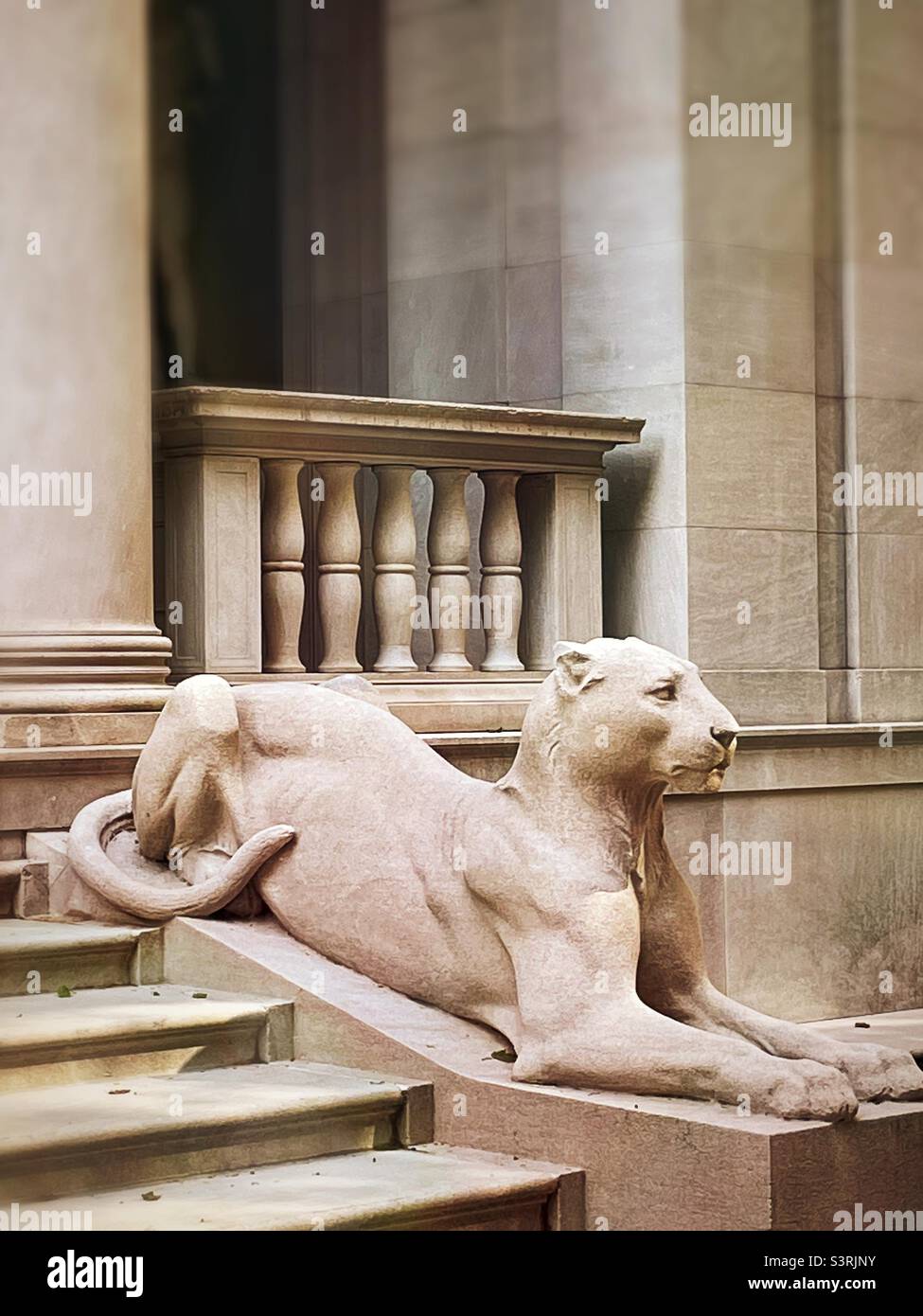 A lion sculpture is located on the east 36 Street side of the Morgan ...