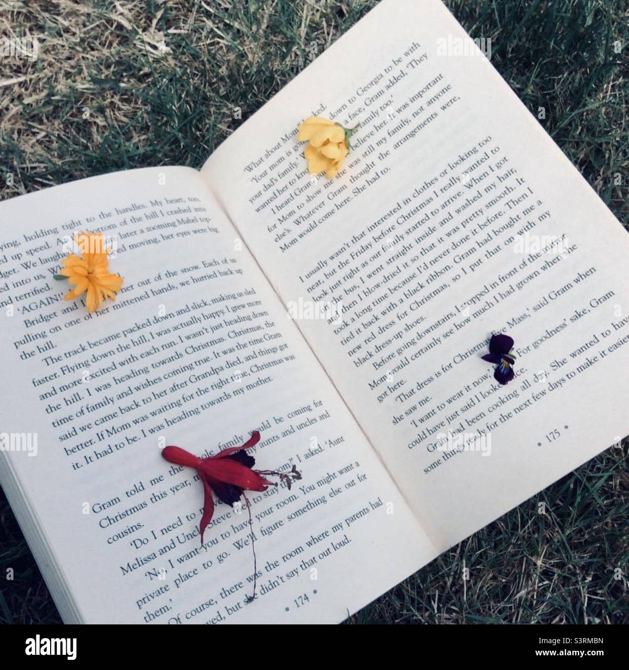 Reading in the garden hi-res stock photography and images - Alamy