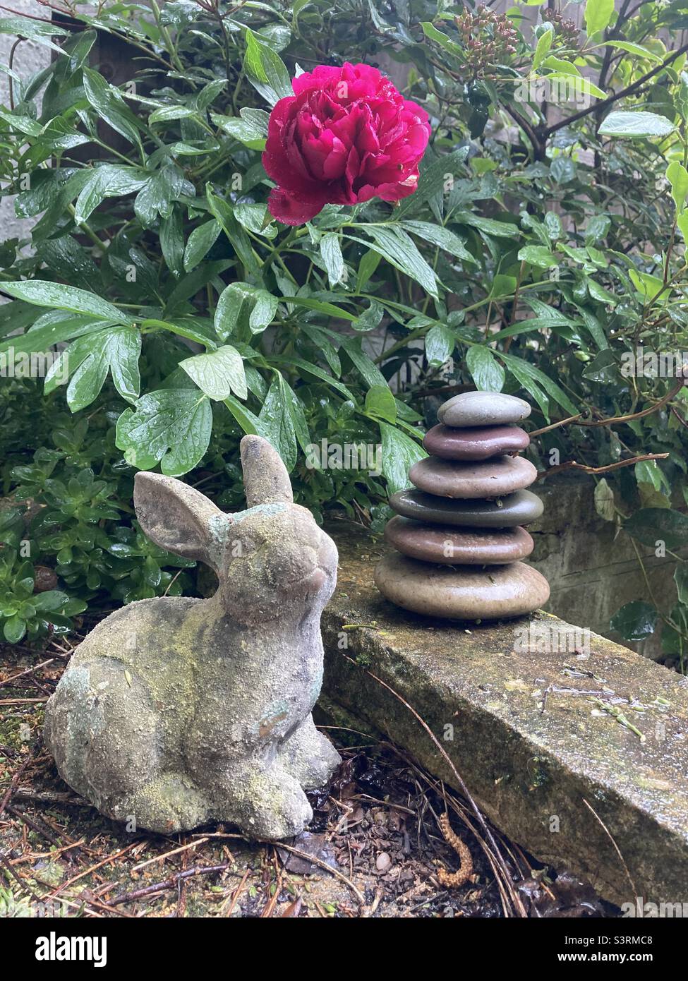 Contentment content hi-res stock photography and images - Alamy