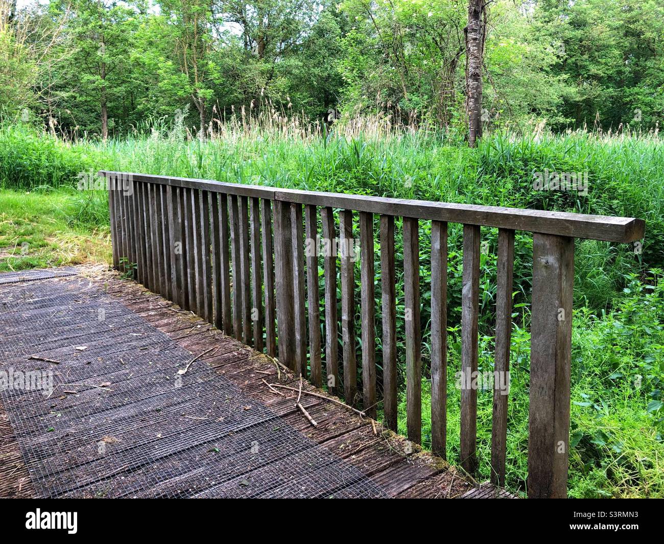 Wooden bridge in forest Stock Photo - Alamy
