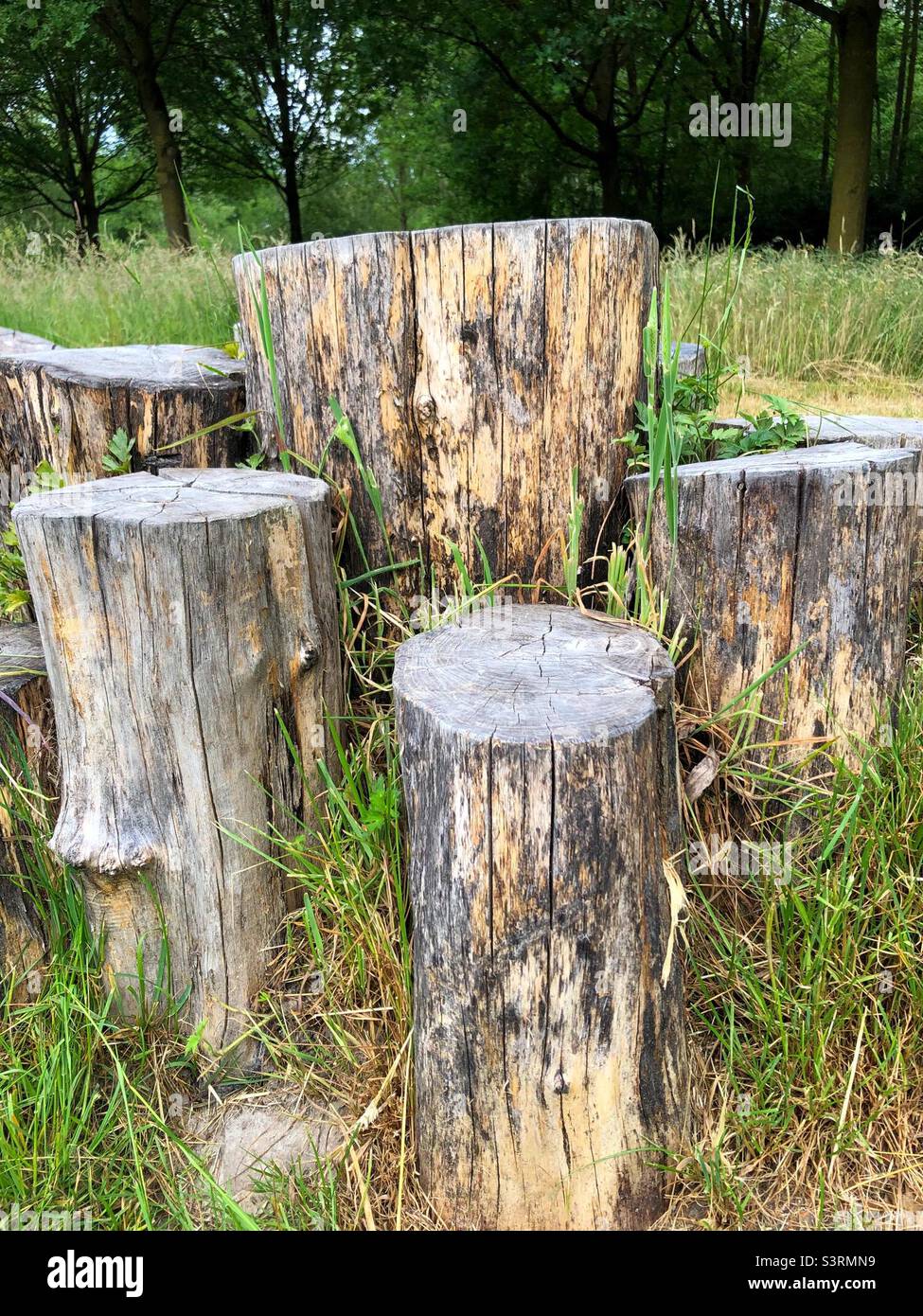 Vertical elevations hi-res stock photography and images - Alamy