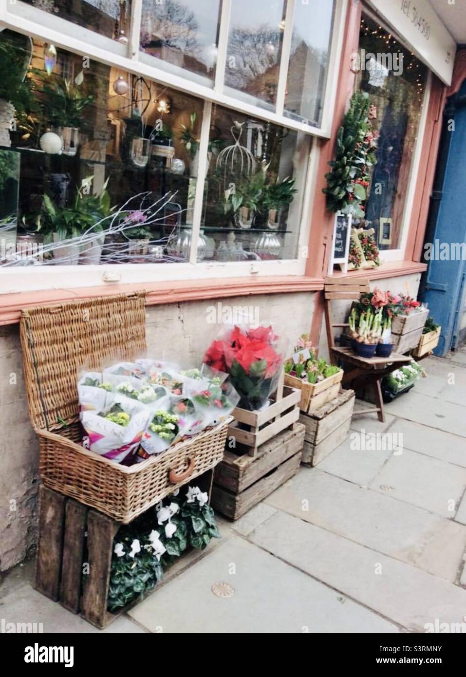 English flower hi-res stock photography and images - Alamy