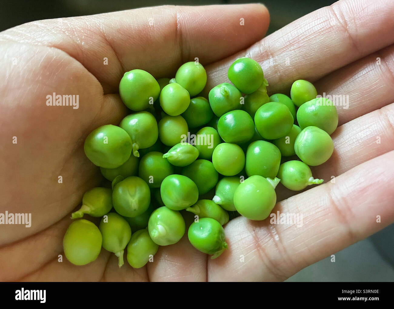 A handful of shelled peas Stock Photo - Alamy