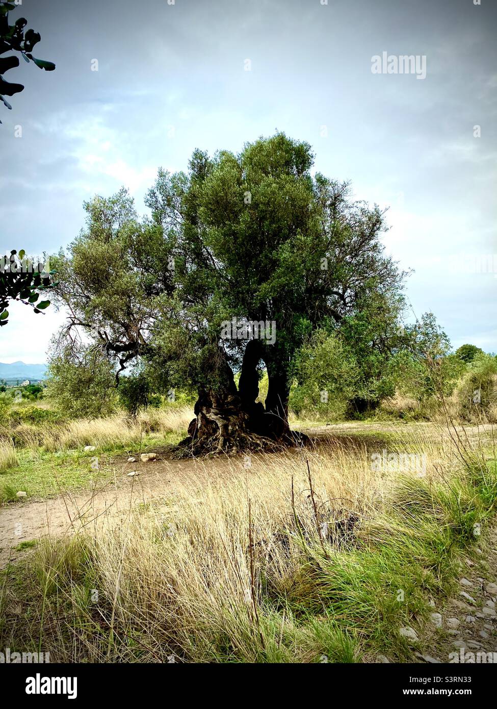 1000 years old hi-res stock photography and images - Alamy