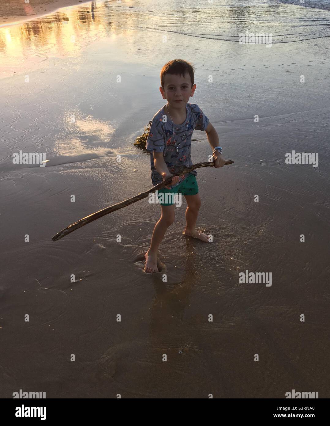 Big stick hi-res stock photography and images - Alamy