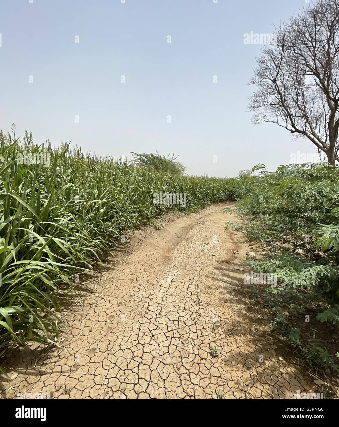 Earth fields hi-res stock photography and images - Alamy