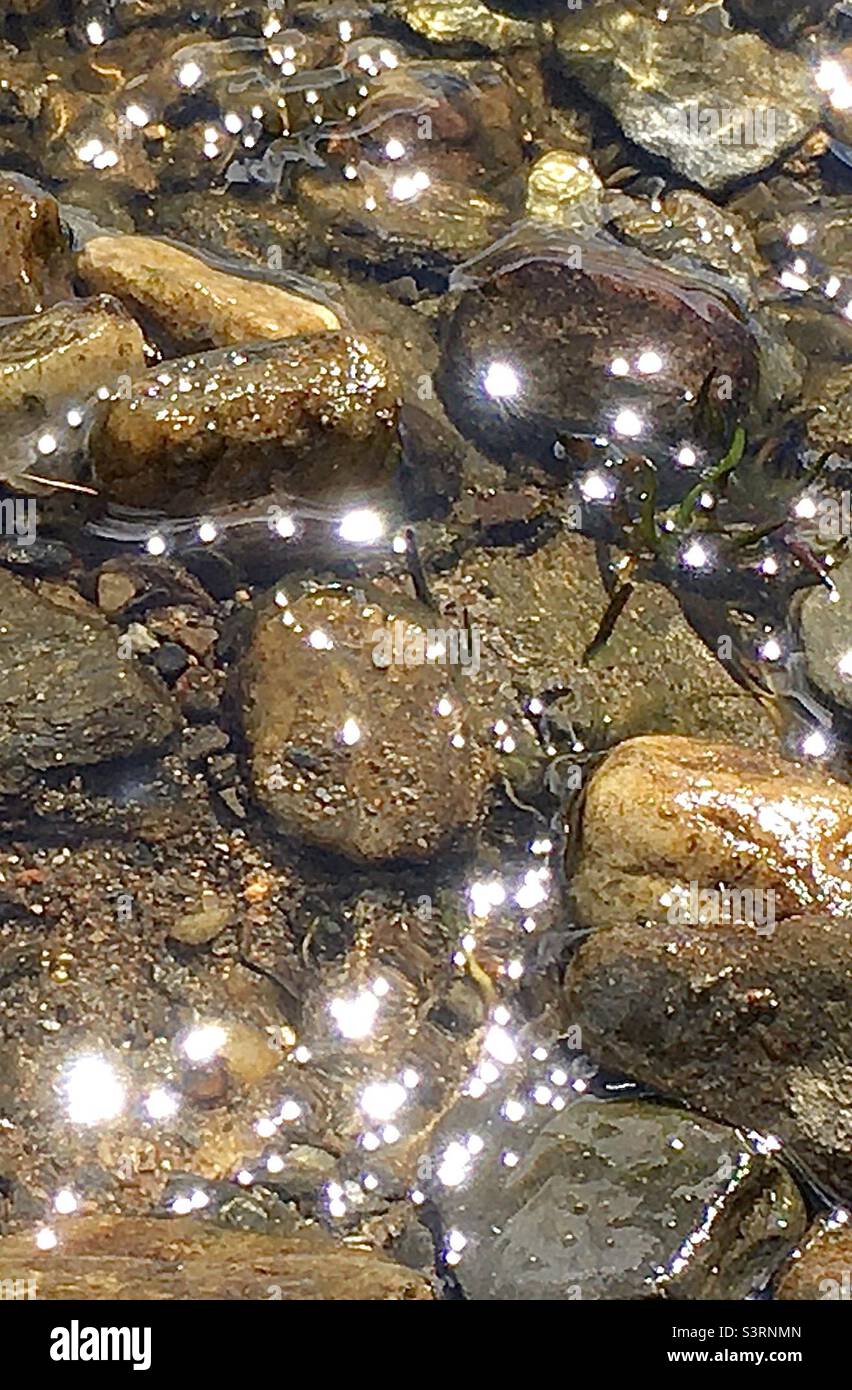 Pond, lake, water sparkles, light on water, light, sparkles, rocks ...