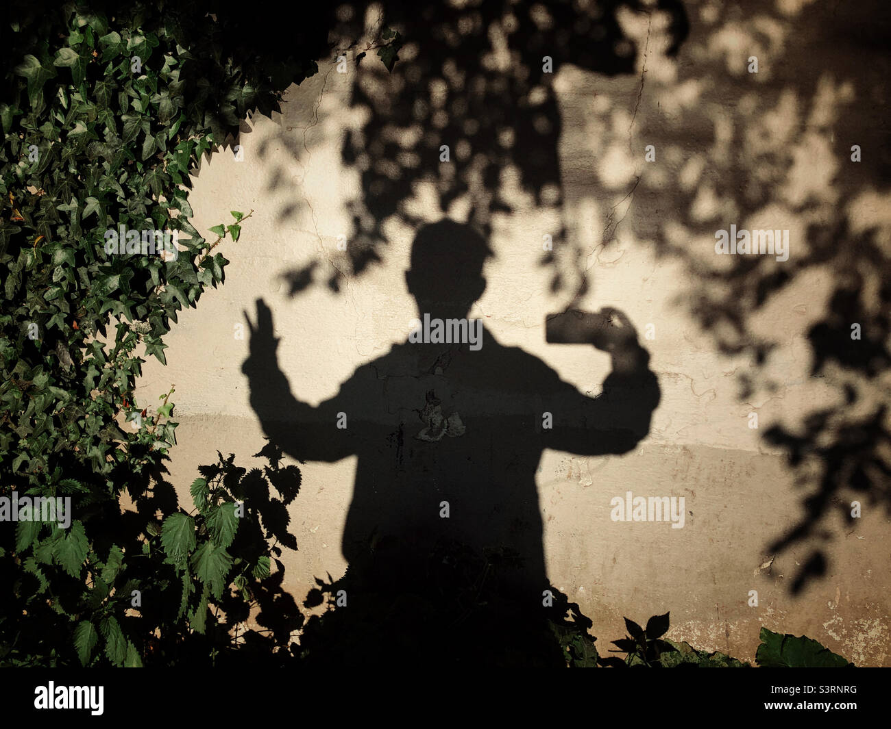 Shadow of a man Stock Photo - Alamy