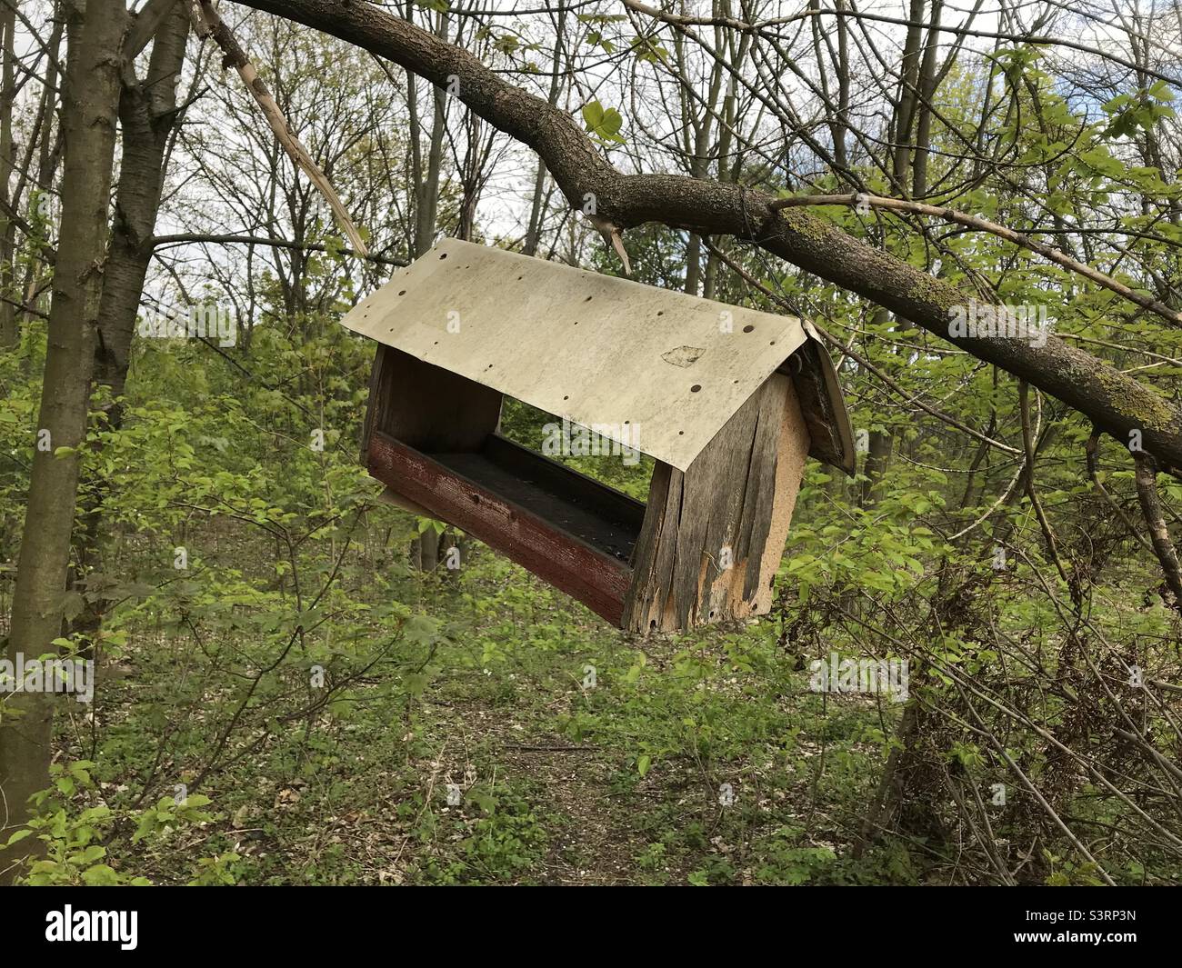 Empty bird feeder hi-res stock photography and images - Alamy