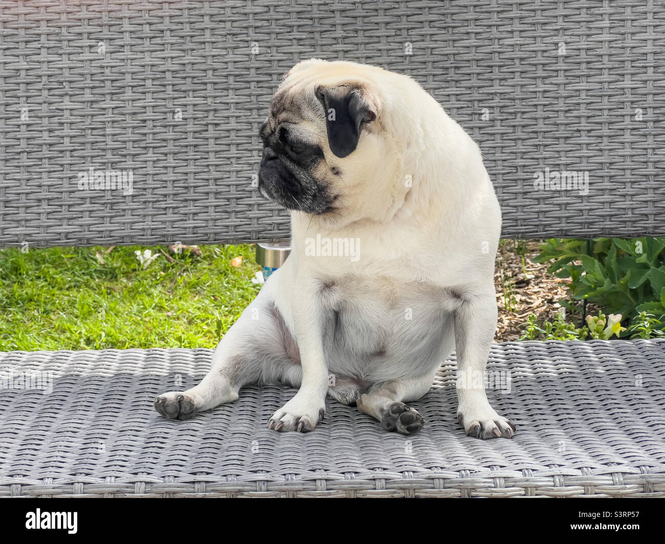 Sit pose hi-res stock photography and images - Alamy