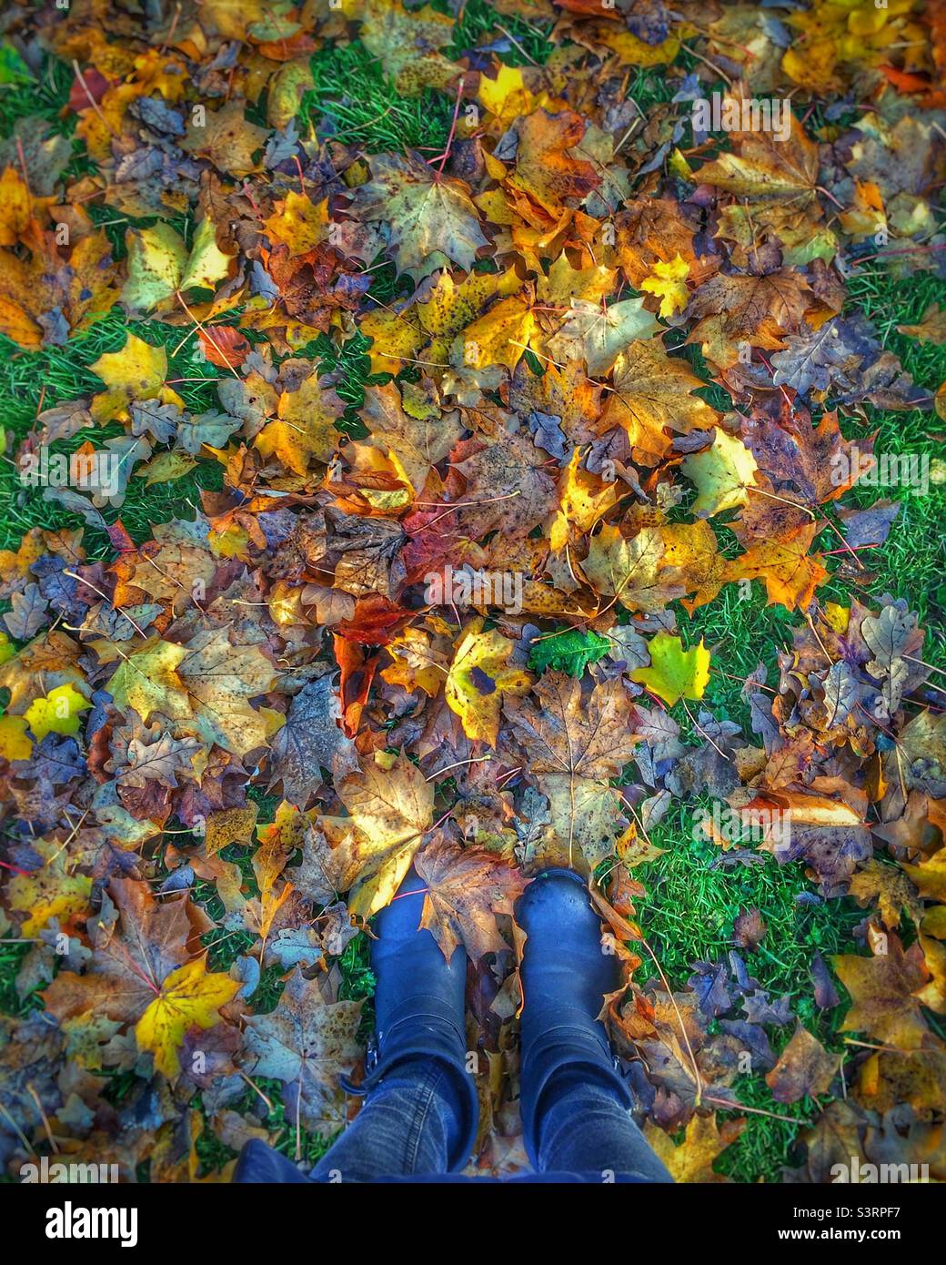 Seasons walk hi-res stock photography and images - Alamy