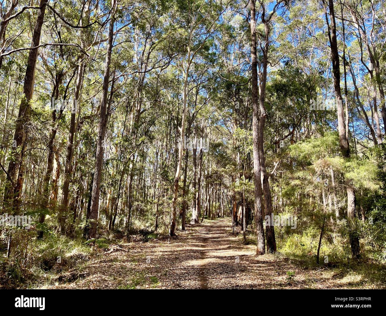 Wadandi track hi-res stock photography and images - Alamy