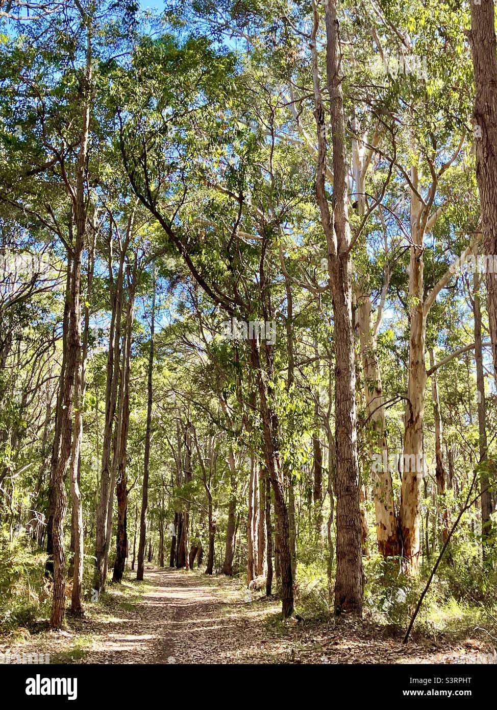 Wadandi High Resolution Stock Photography and Images - Alamy