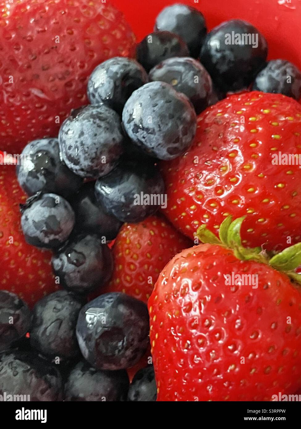 Berries blueberries hi-res stock photography and images - Alamy