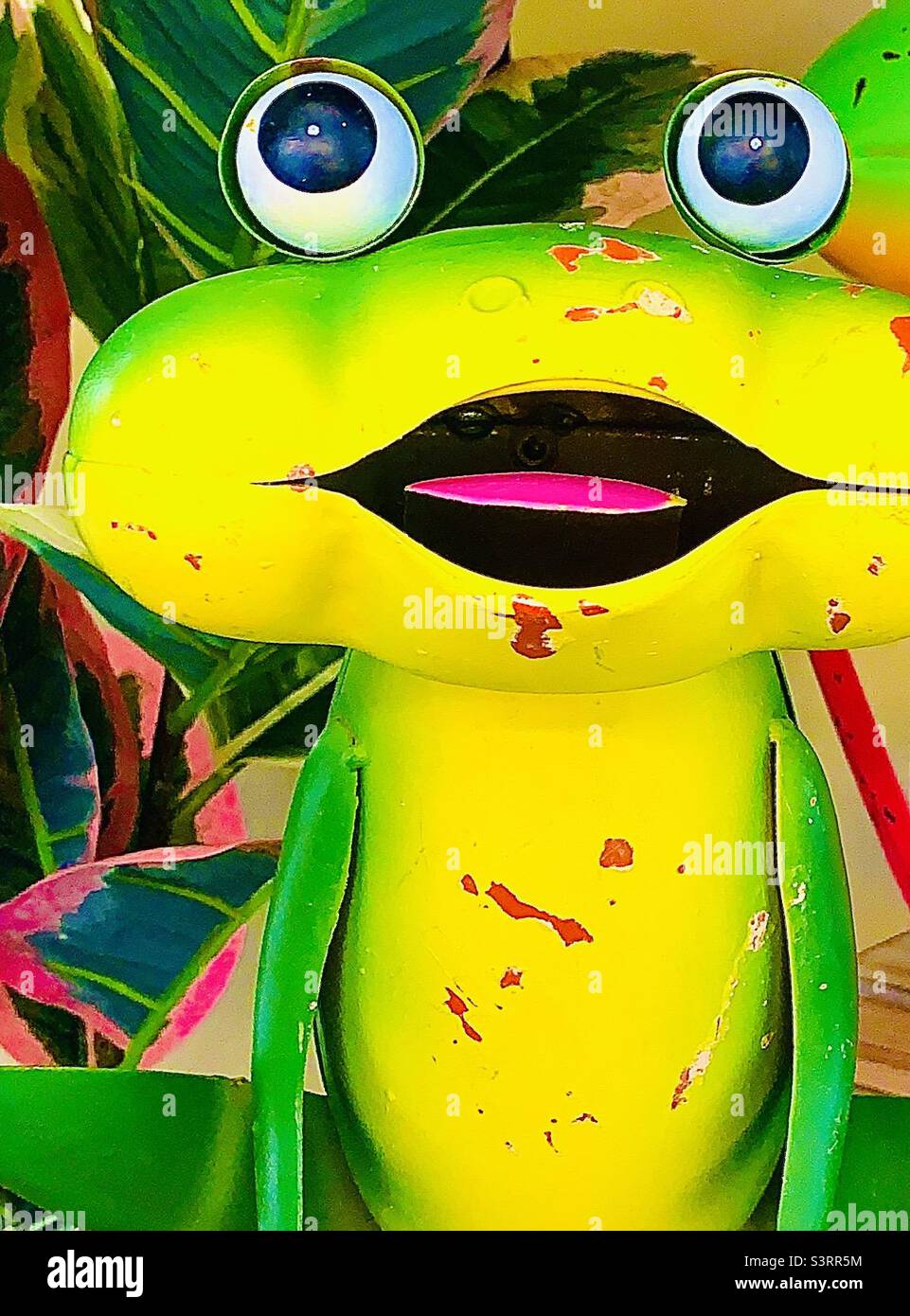 Neon green and yellow cartoon frog with natural plants Stock Photo - Alamy