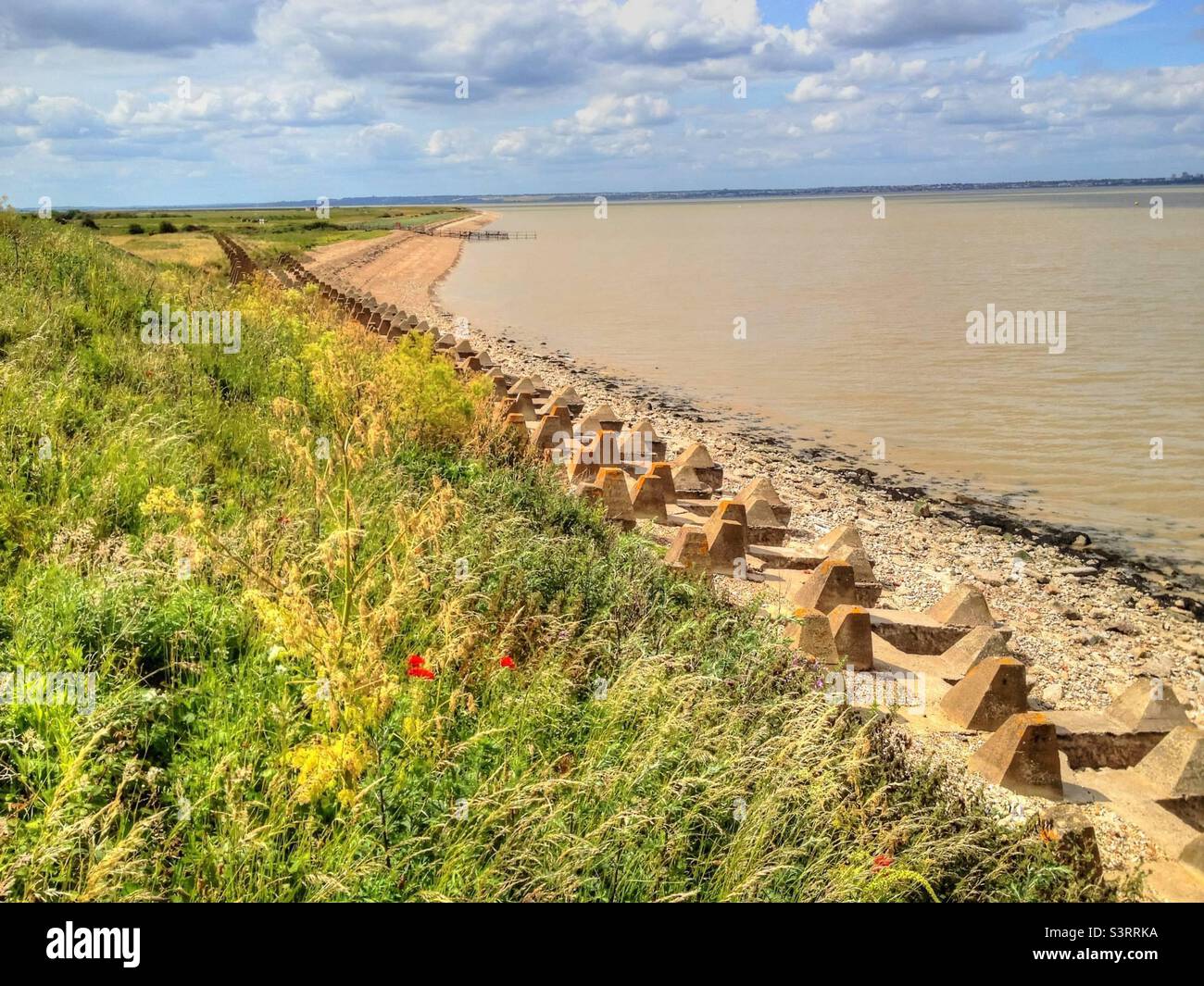 Dragons teeth .. WW2 anti tank defences Stock Photo - Alamy