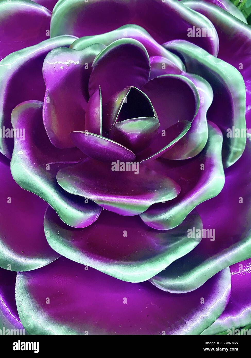 Metallic Purple Flower Stock Photo - Alamy