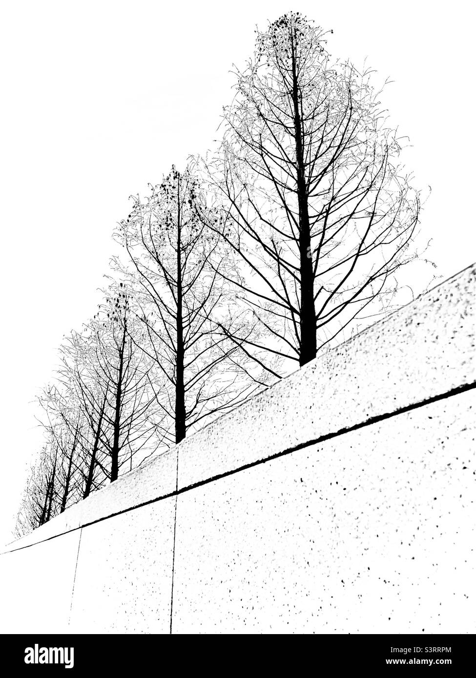 Perfect photo hi-res stock photography and images - Alamy