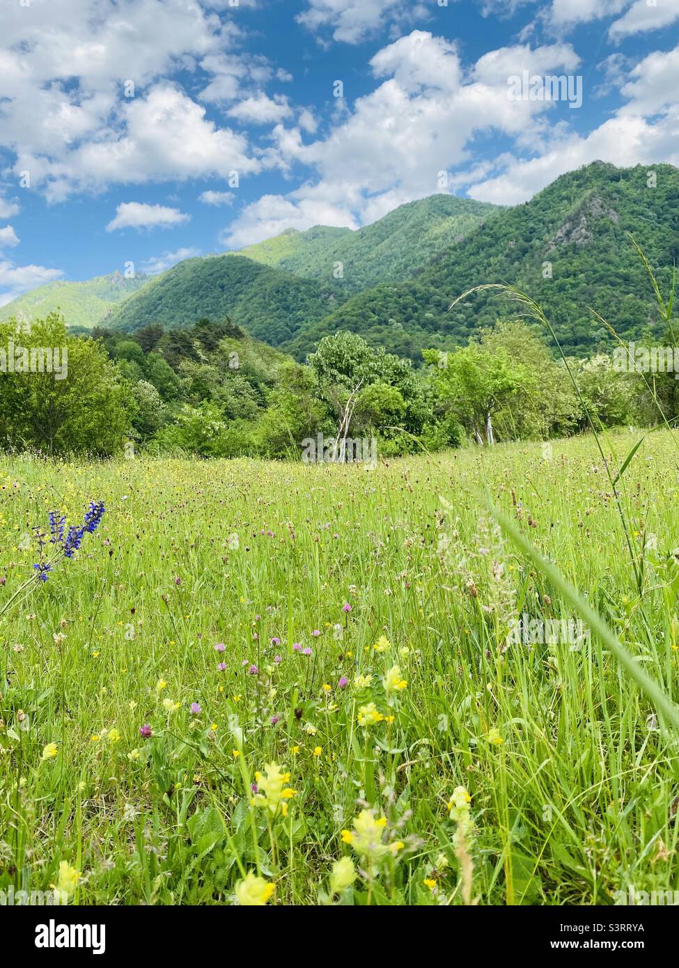 Parcul national hi-res stock photography and images - Alamy