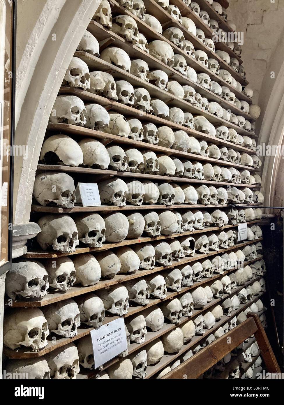 Shelves full of human skulls in an ossuary Stock Photo - Alamy