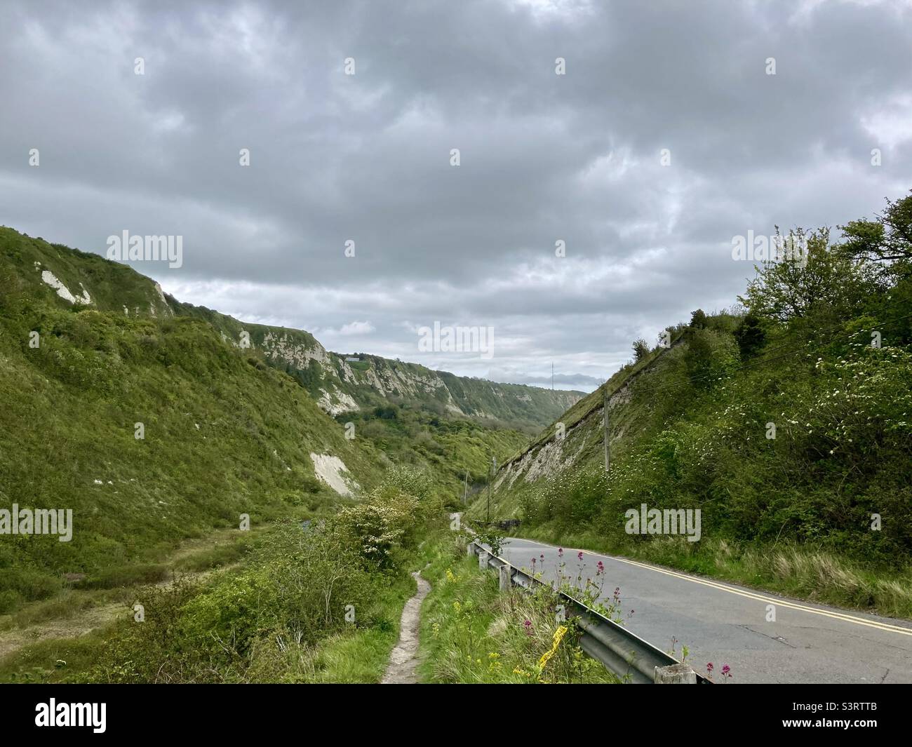 The Warren Folkestone Stock Photo - Alamy