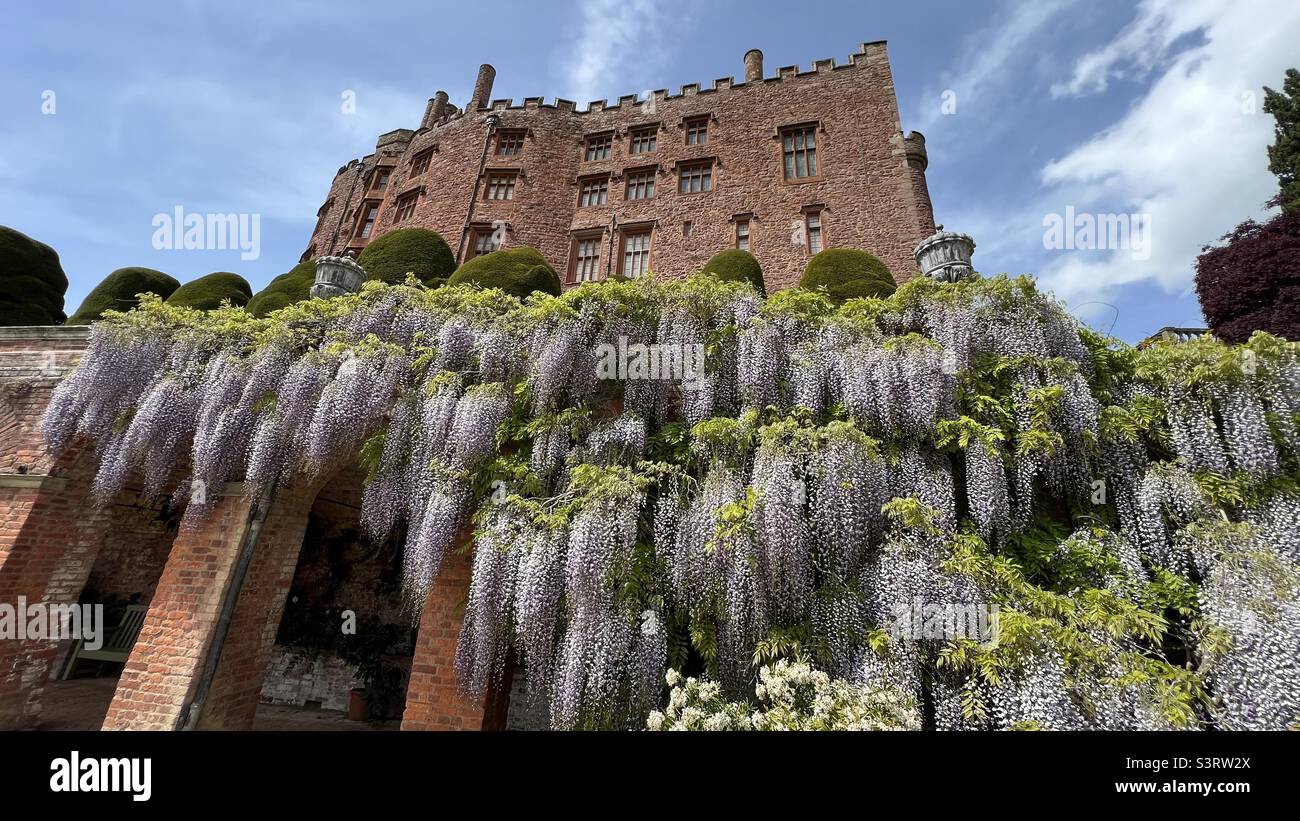 Powis castle hi-res stock photography and images - Alamy