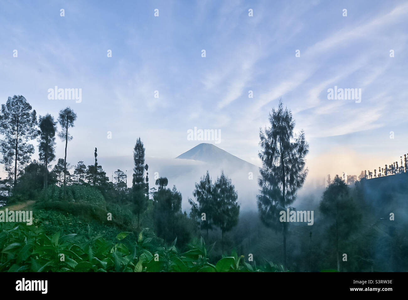 Sindoro hi-res stock photography and images - Alamy