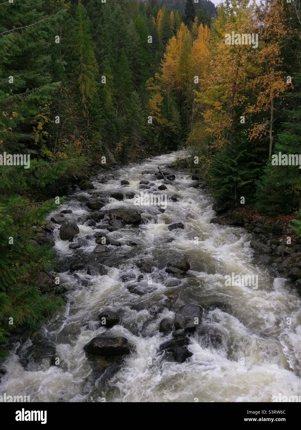 Rushing river hi-res stock photography and images - Alamy