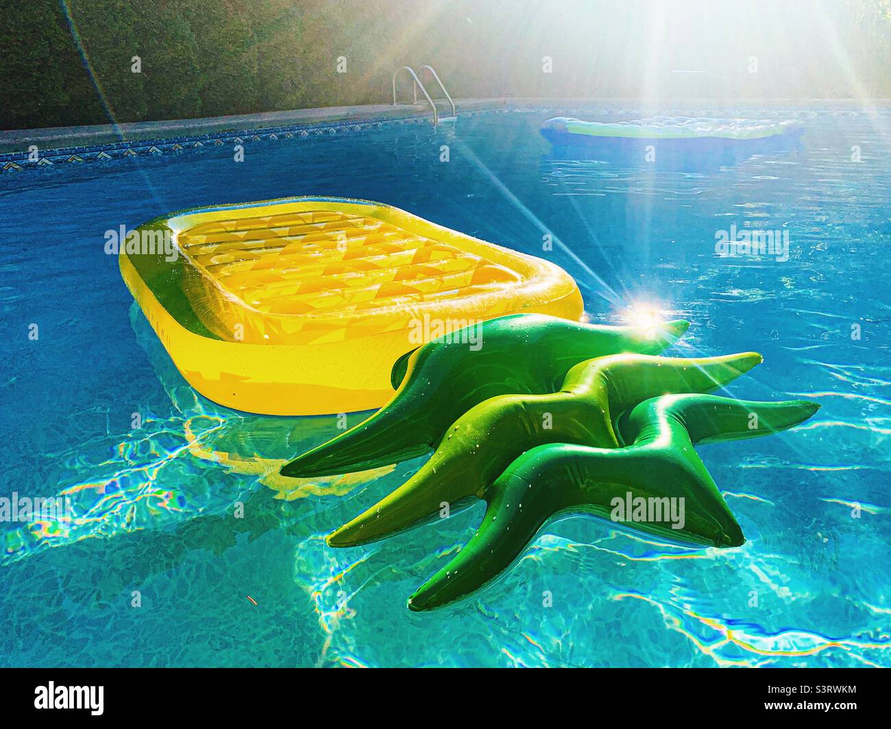 Pineapple shaped pool floaty in a backyard swimming pool on a hot sunny ...