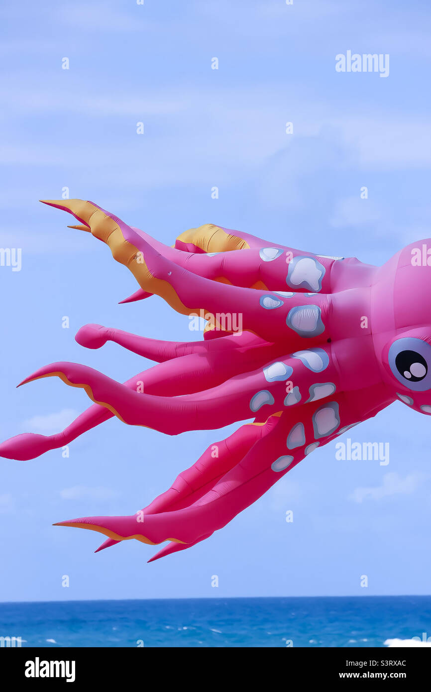 Octopus with orange eyes hi-res stock photography and images - Alamy