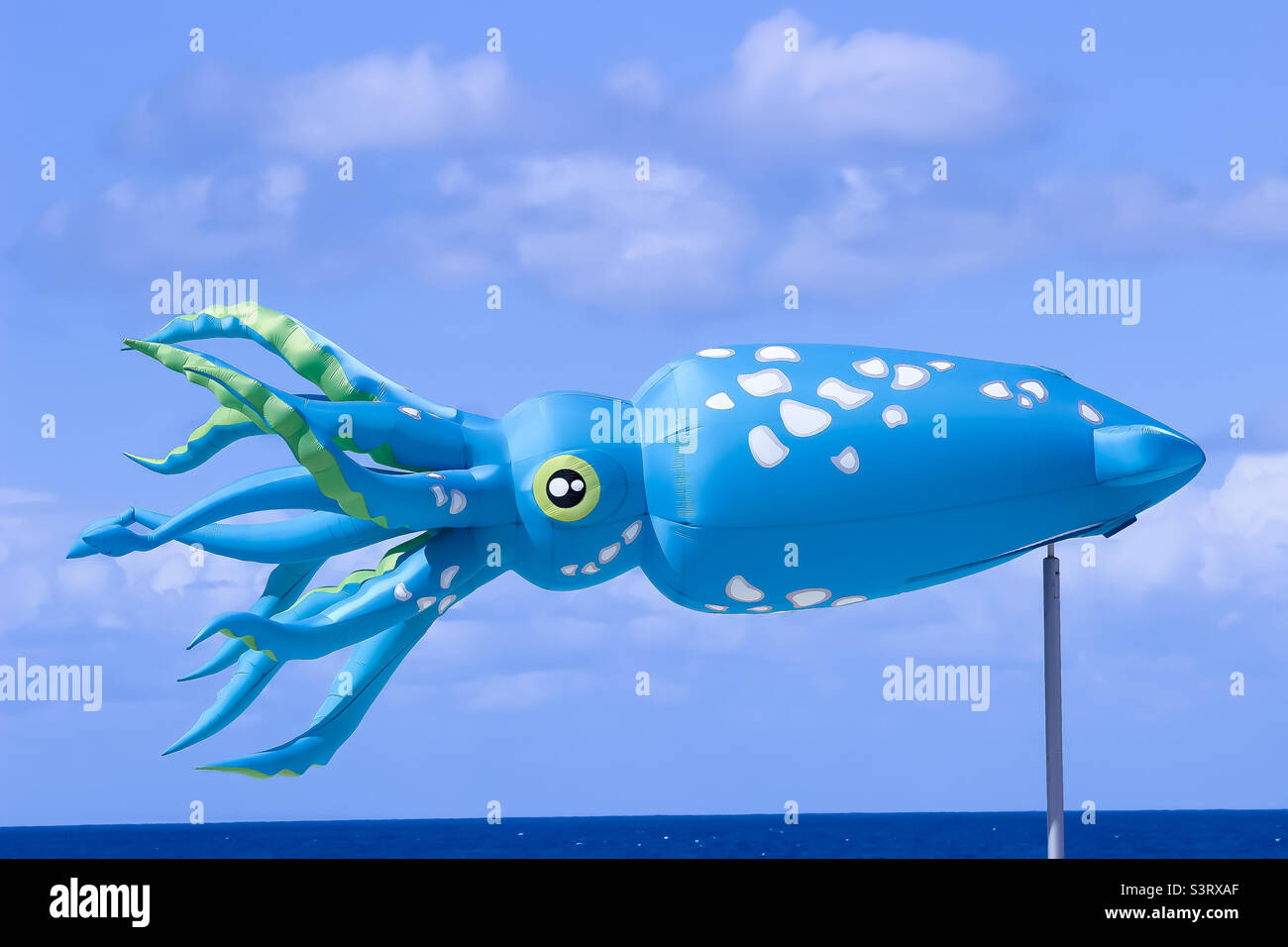 Eight legs octopus hi-res stock photography and images - Alamy