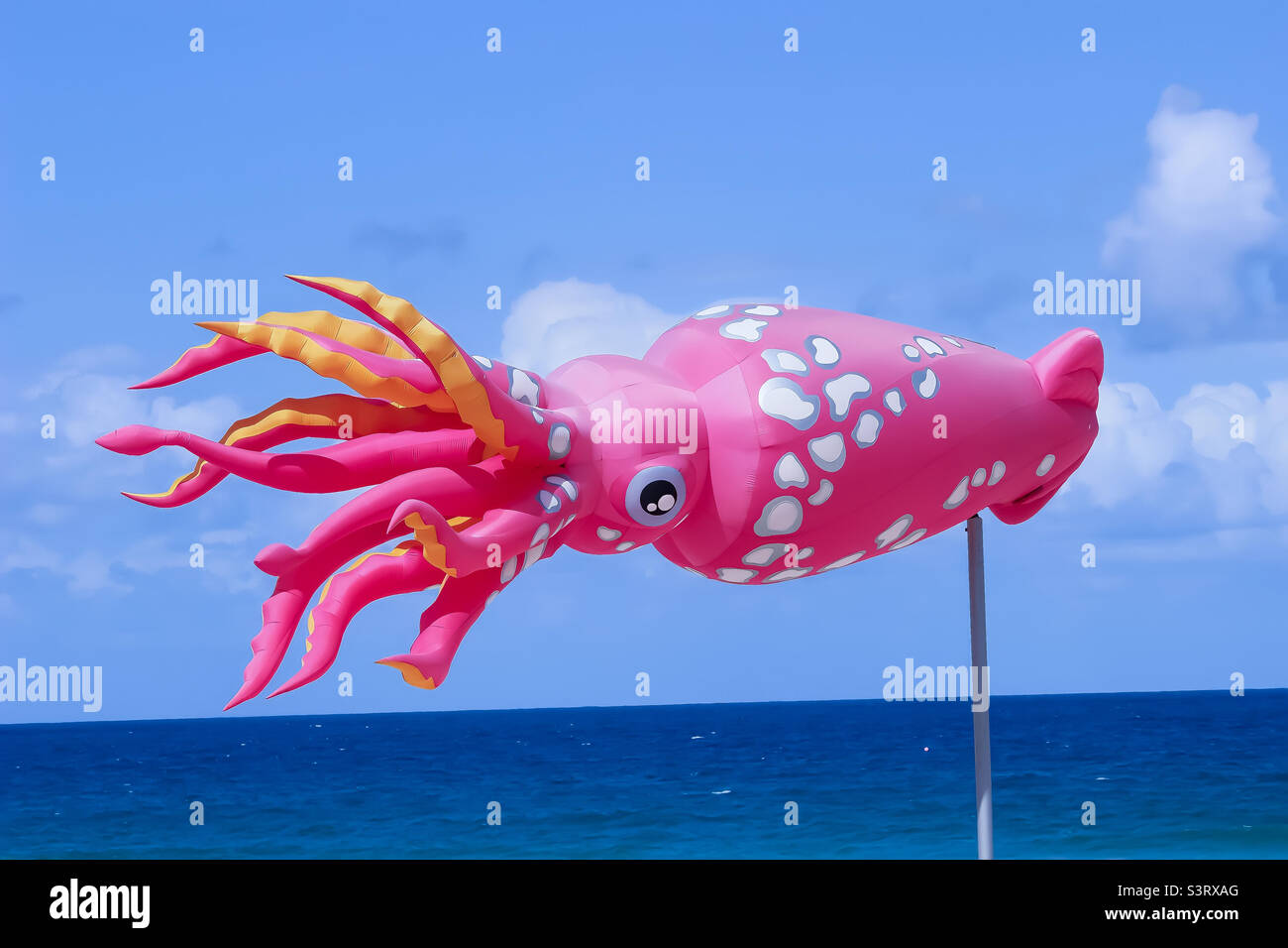 Octopus spots hi-res stock photography and images - Alamy